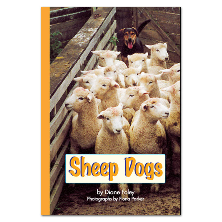 Sheep Dogs book by Diane Foley - Rainbow Reading
