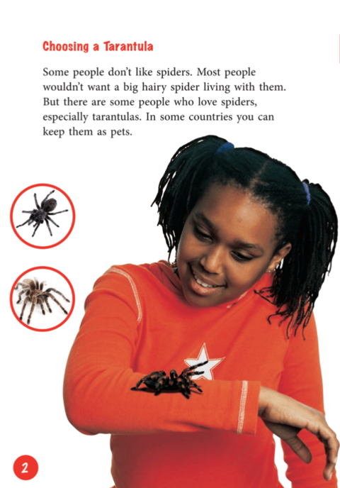 Caring for Tarantulas book by Janice Marriott - Rainbow Reading