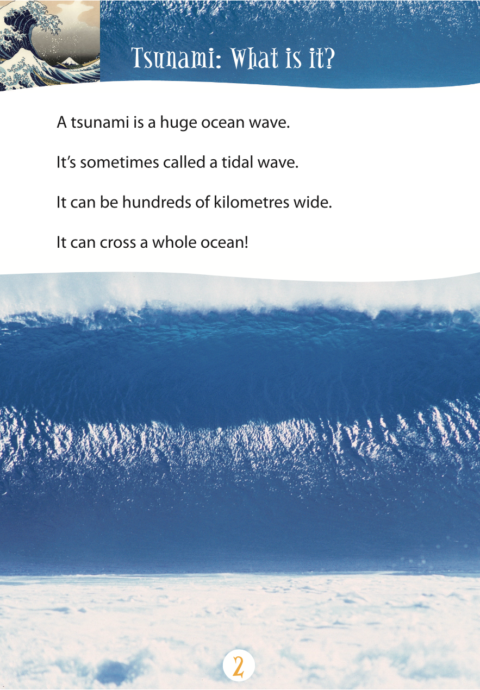 Tsunami book by Carol Krueger - Rainbow Reading