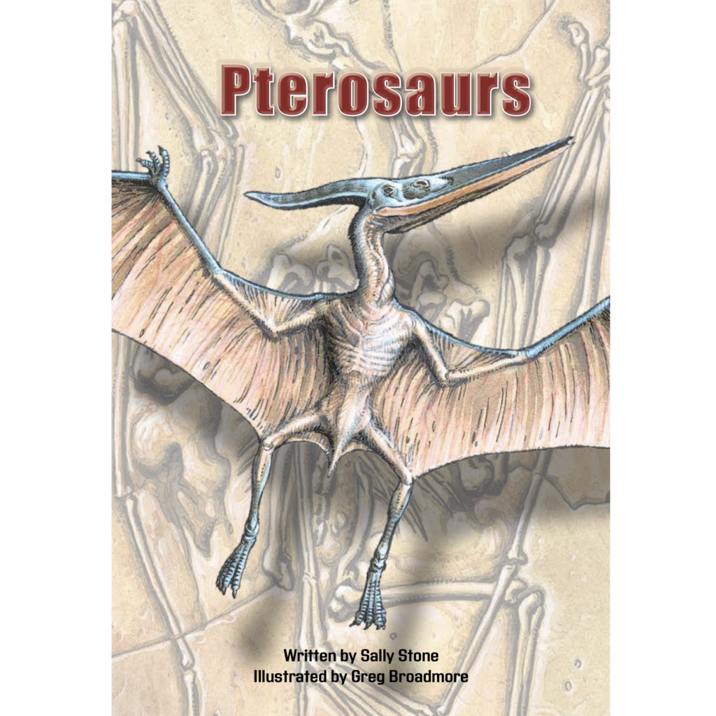 Pterosaurs book by Sally Stone - Rainbow Reading