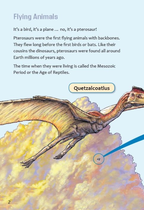 Pterosaurs book by Sally Stone - Rainbow Reading