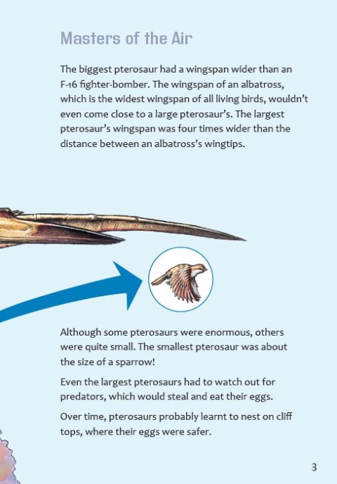 Pterosaurs book by Sally Stone - Rainbow Reading